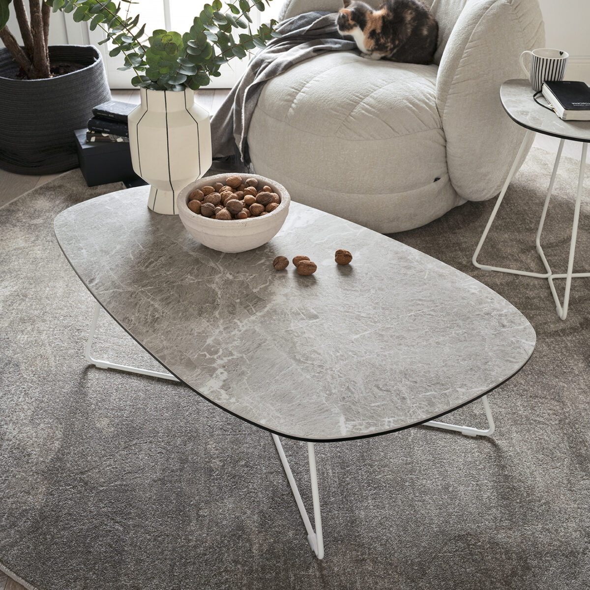 Ciop Coffee Table - Alchemy Collections