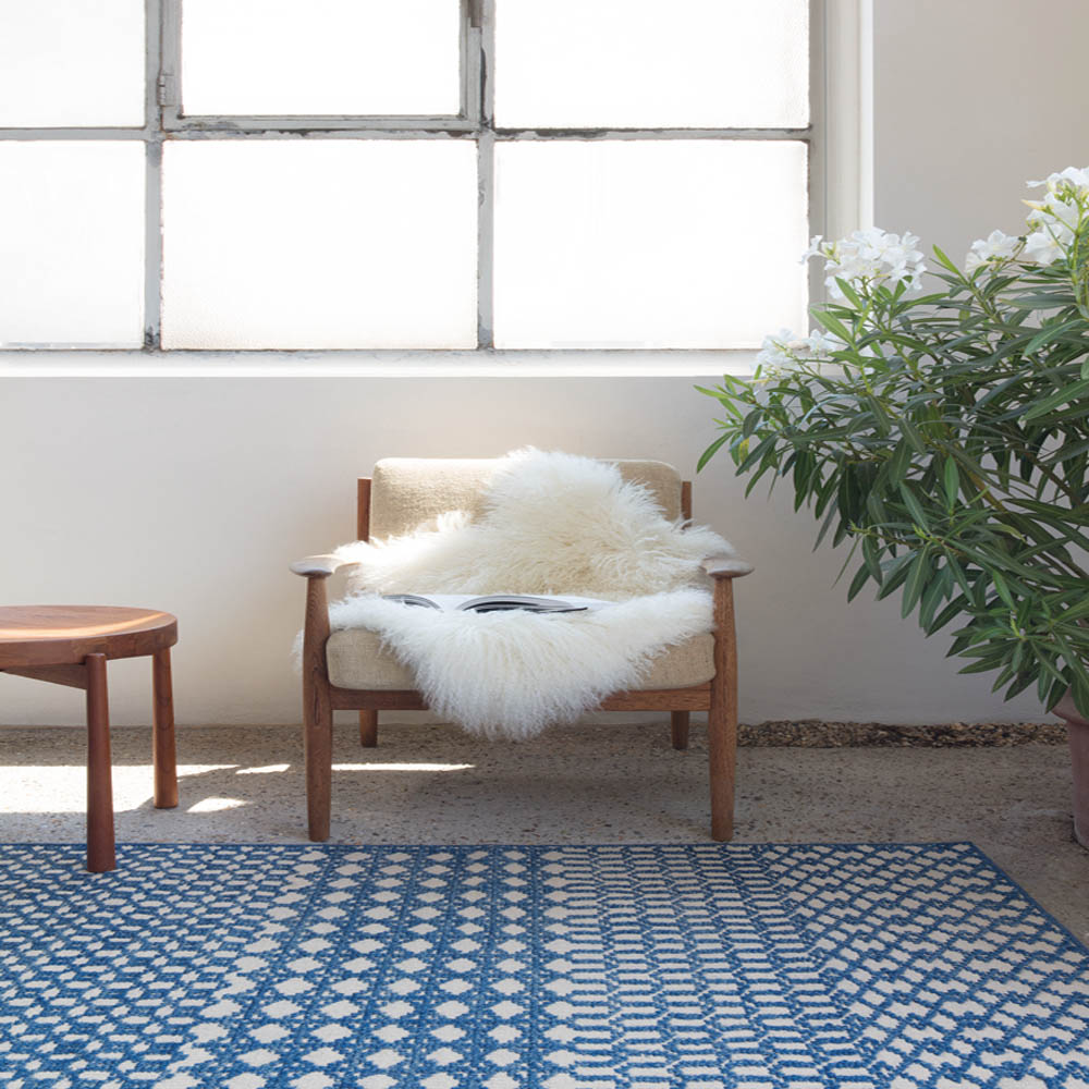 Switch Rug - Alchemy Collections