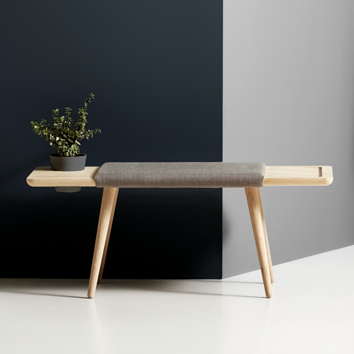 Baenk Bench - Alchemy Collections